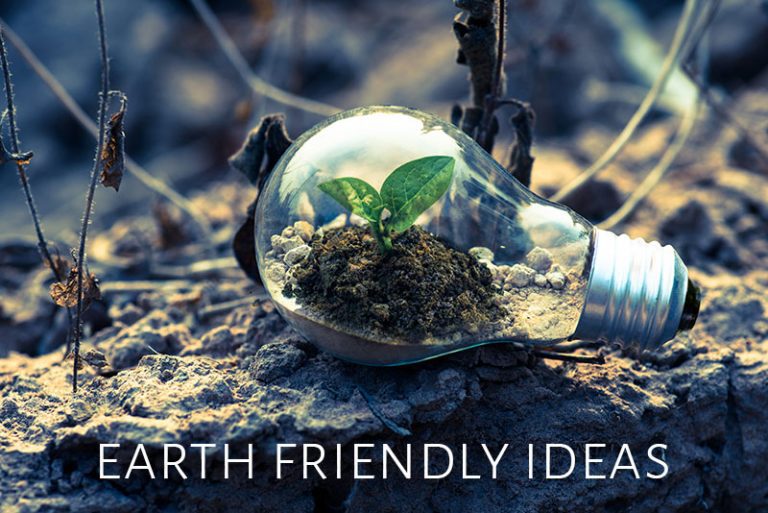 11 Ways To Be An Earth Friendly Household | Purified Lifestyle
