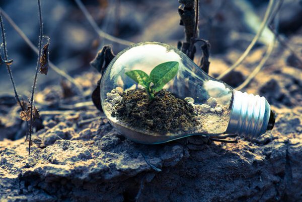 11 Ways To Be An Earth Friendly Household | Purified Lifestyle